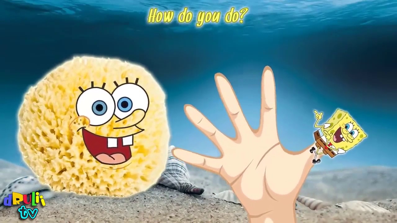 Finger Family Song Spongebob Parmak Ailesi Sünger Bob Şarkısı - YouTube