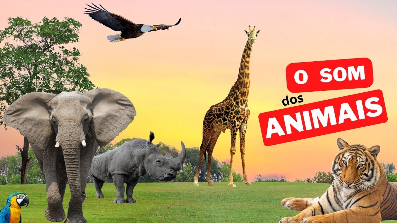 ANIMAIS PARA CRIANCAS - o som dos ANIMAIS - 40 Animais reais - YouTube