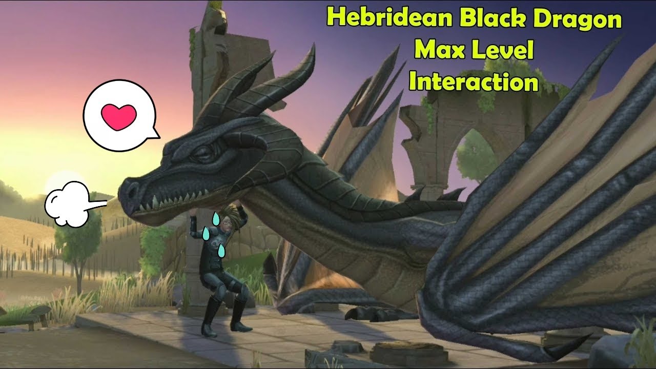 Hebridean Black Dragon Max Level Harry Potter Hogwarts Mystery - YouTube