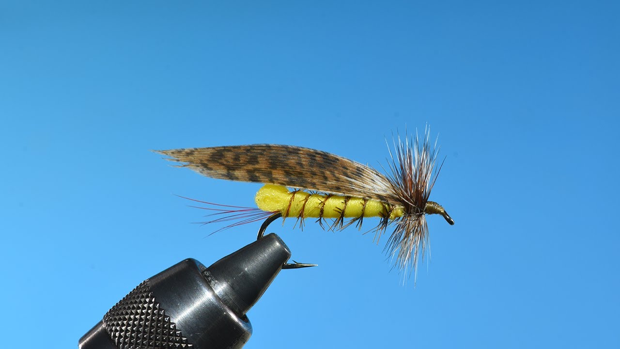 Joe's Hopper with Eric Austin - YouTube