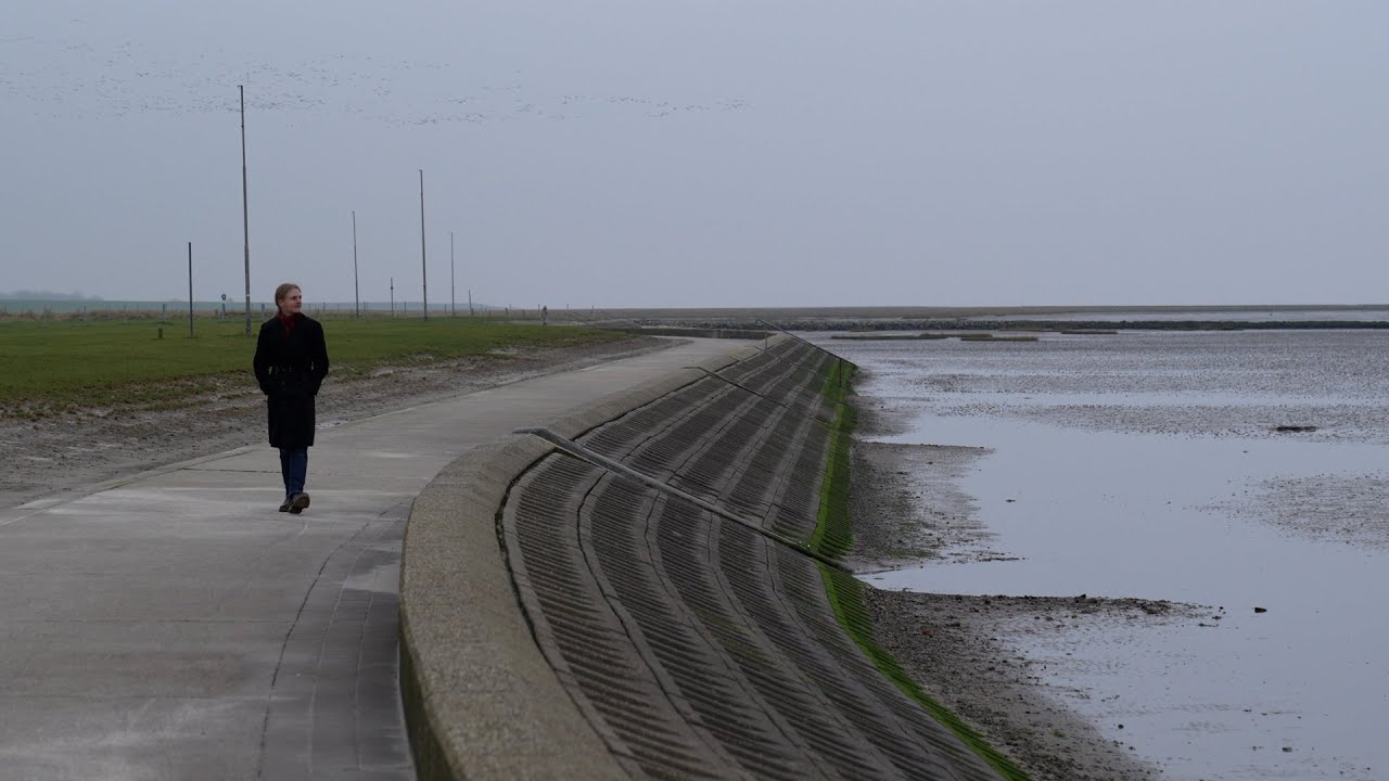 Alltagshelden: Vincent Lehmann rettet das Wattenmeer - YouTube