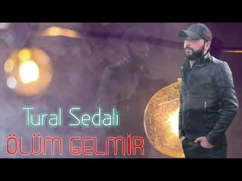 Tural sedali-2019
