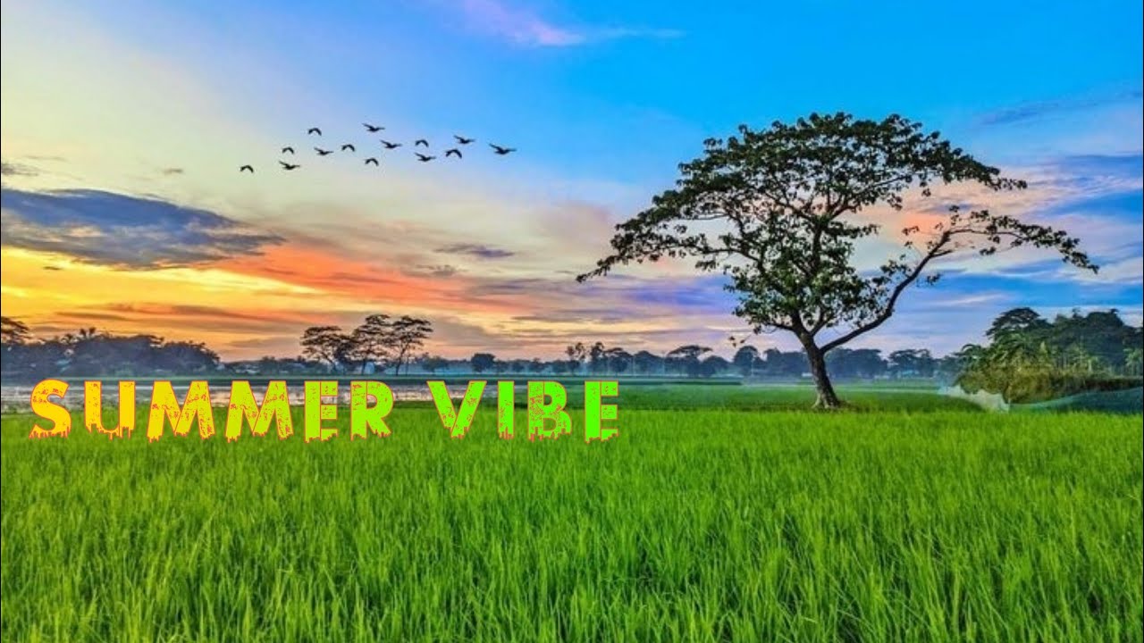 Summer Nature / relaxing music / 4k video / Nature Cinematic video / No ...