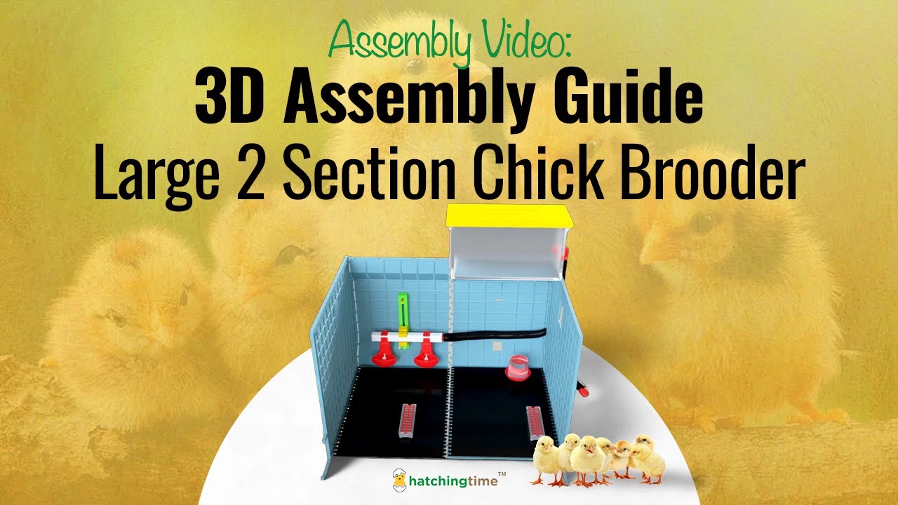 Assembly Guide (3D): Chick Brooder - 2 Section H:15" | Hatching Time, Cimuka - YouTube