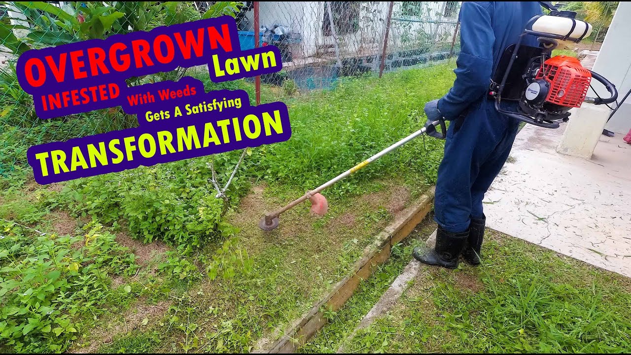 OVERGROWN Lawn INFESTED With weeds | Gets A Satisfying TRANSFORMATION # ...