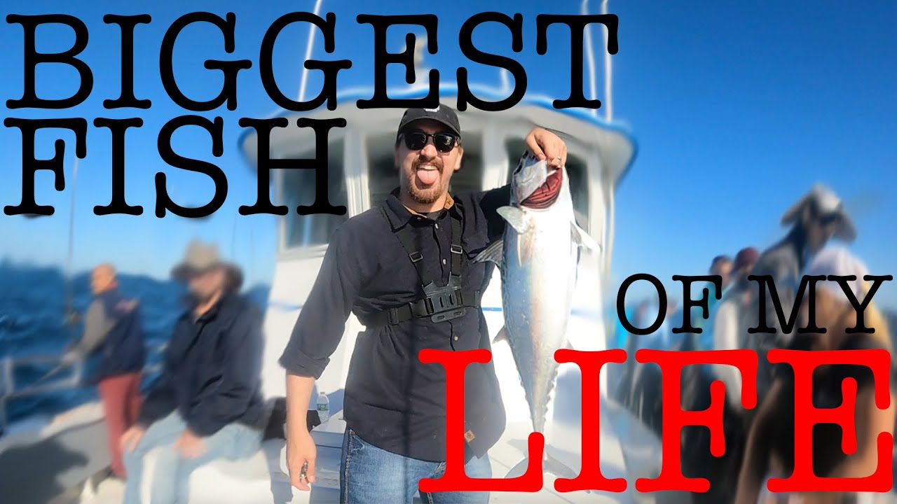 THE BIG ONE - YouTube