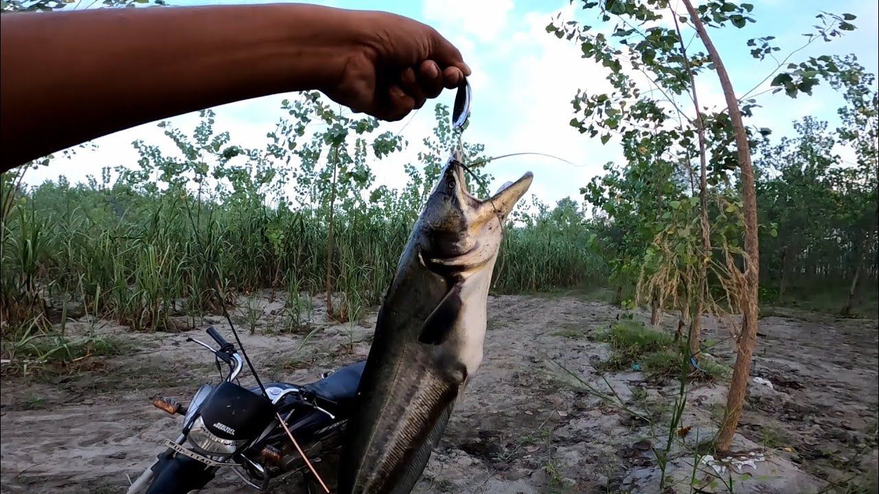 October fishing compilation #fishing - YouTube