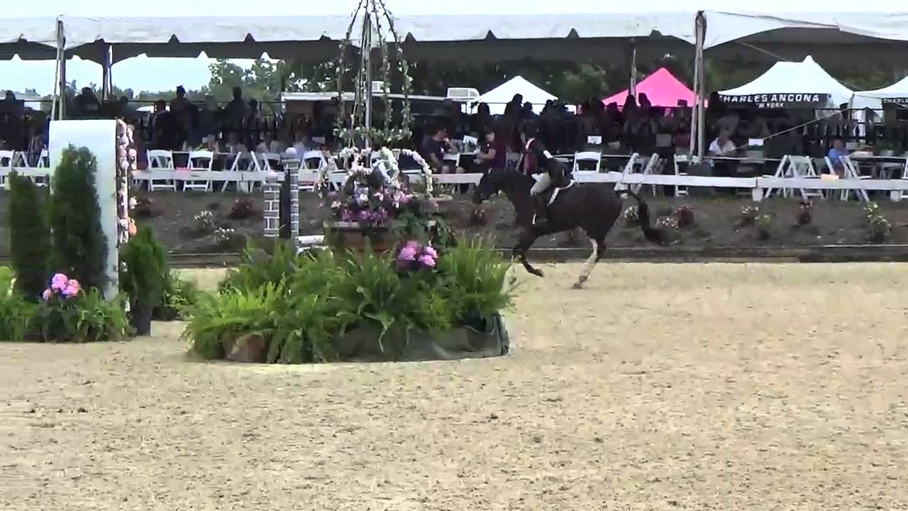 2015 Pony Finals - Picture Perfect - YouTube