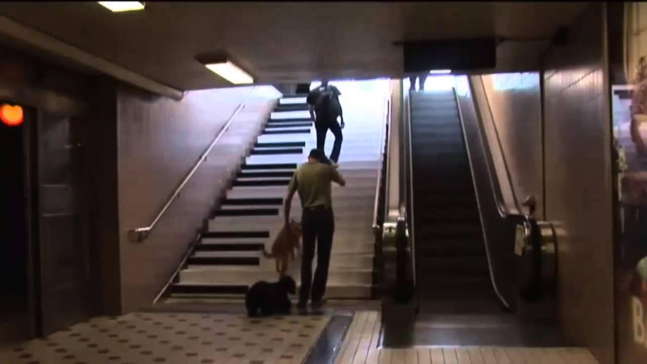 MOTIVATION AT ITS BEST? Take a look at this Amazing Experiment on a ...