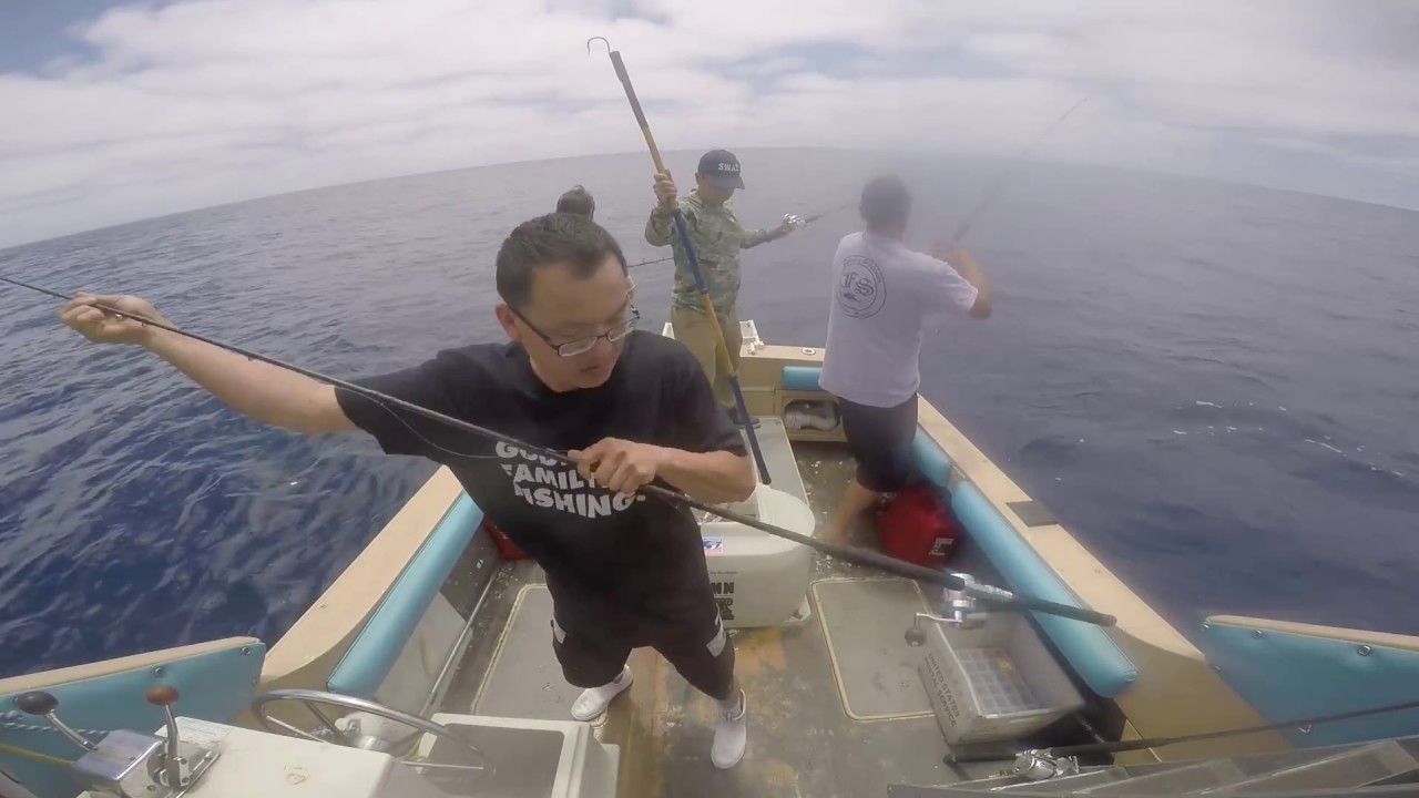 Kelp Paddy Yellowtail using Rainshadow Rods by Fishing Syndicate - YouTube