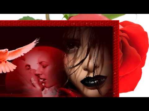 SENİ ASLA AFFEDEMEM