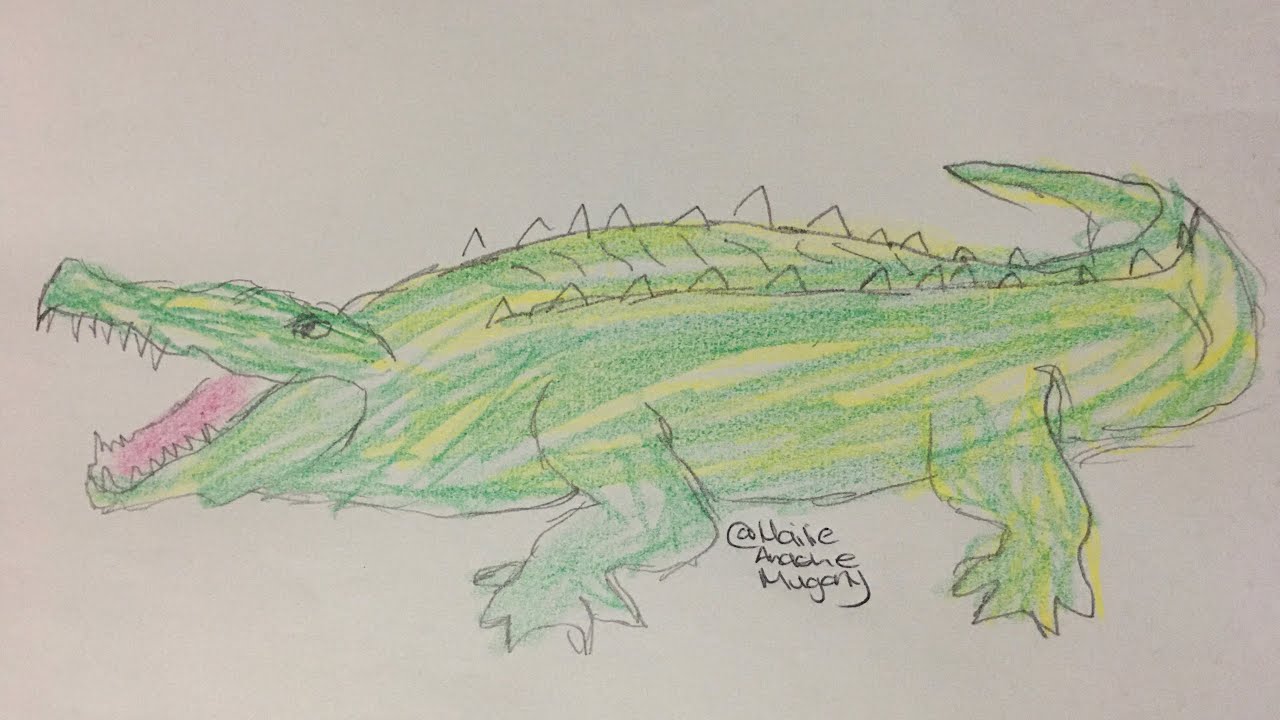 Drawing a Crocodile step by step - YouTube