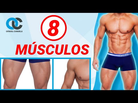 Los Músculos Más Estéticos | Botoxina