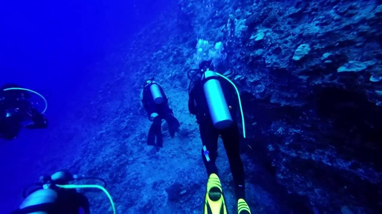 Molokini Back Wall Dive - May 13, 2016 - YouTube