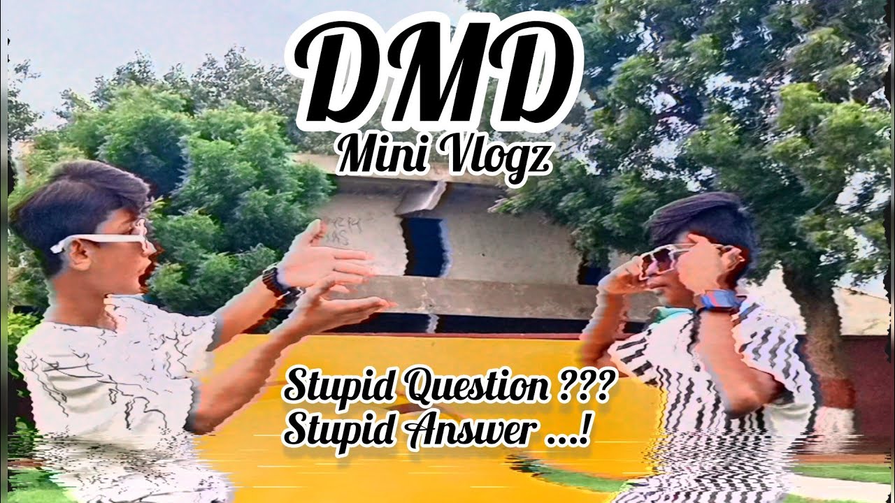 Just Fun Stupid Question and Stupid Answer | DMD Mini Vlogz | - YouTube