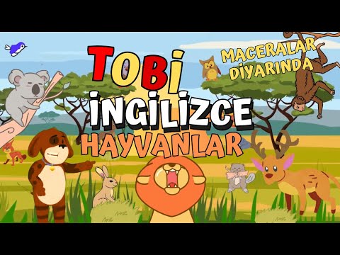 İngilizce Hayvan İsimleri, Tobiyle Maceraya! Çocuklar İçin İngilizce Eğitici, Eğlenceli Animasyon.