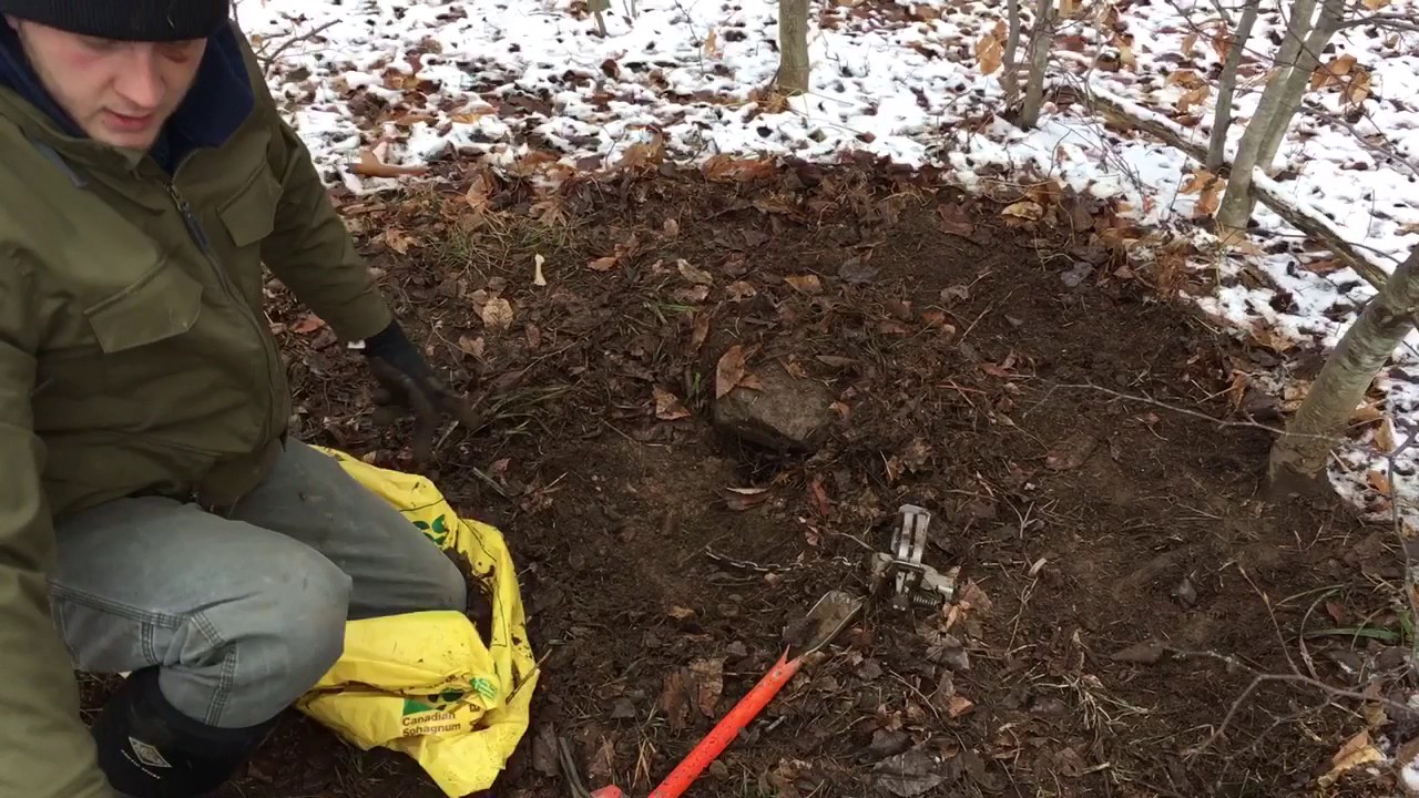 Trapping upstate NY- Dirt hole reset. - YouTube