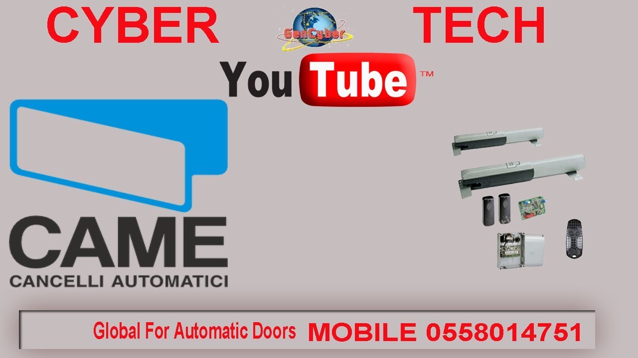 Electric Gates. CAME Worm Drive 'ATI' electric gate automation CYBER ...