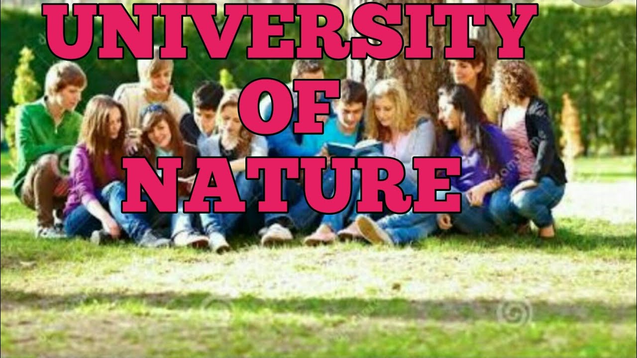 THE UNIVERSITY OF NATURE || HOW TO BE SUCCESSFUL WITHOUT A UNIVERSITY ...