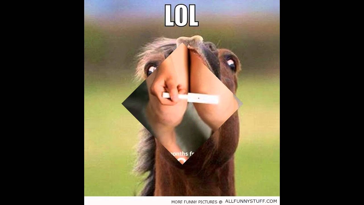 shhhhhhhhhhhhhhhhhhhhhhhhhhhhhhhhhhhhhhhhhhhhhhhhhhhhhhhhhhhhhhhhhhhhhh ...