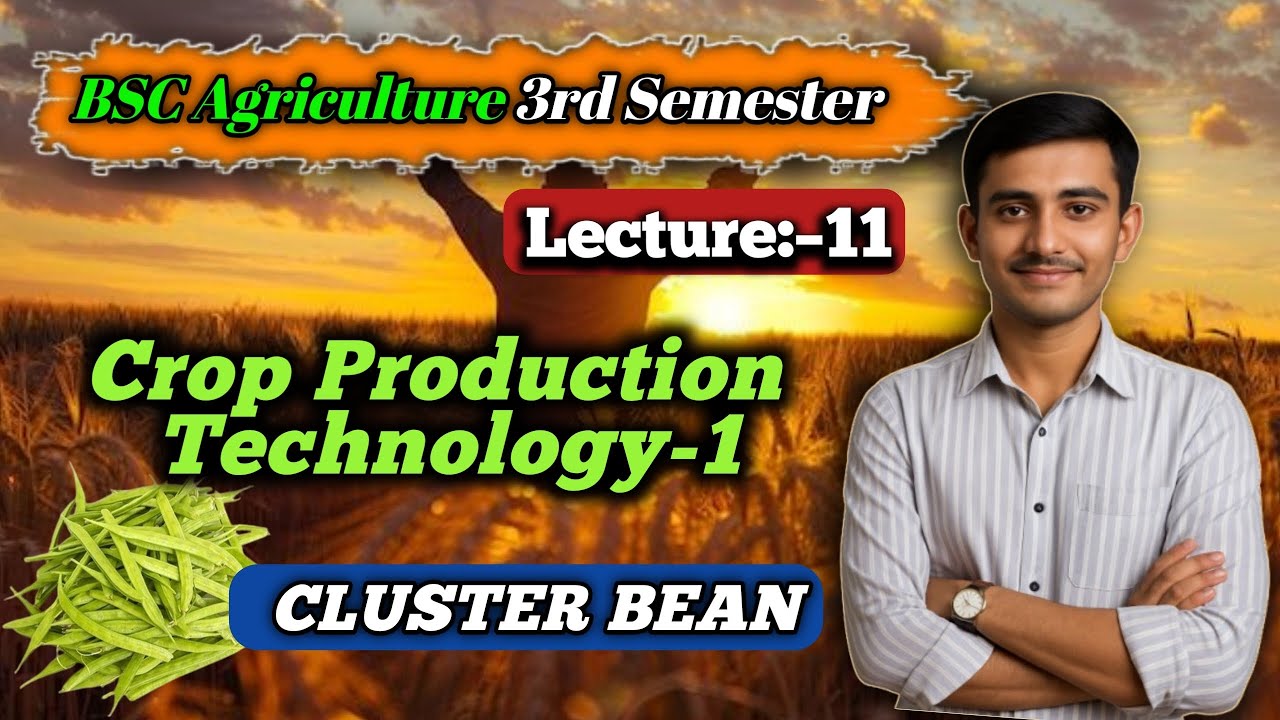 Cluster Bean (Guar) Crop Production Technology part-11 / BSC Agri 3rd ...