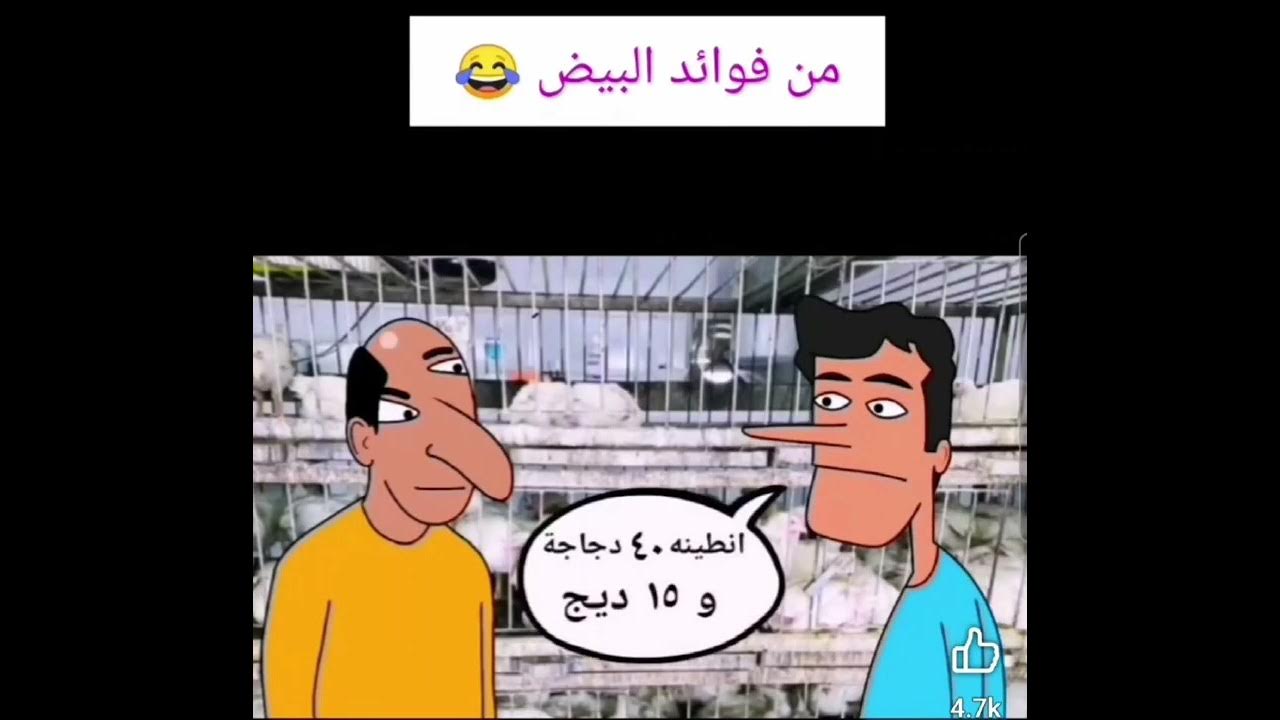 اذا فهمتها اسلخ لايك واذا لا فوت نام .شاهد للنهايه 😂😂 #shorts - YouTube اذا فهمتها اسلخ لايك واذا لا فوت نام .شاهد للنهايه 😂😂 #shorts - YouTube