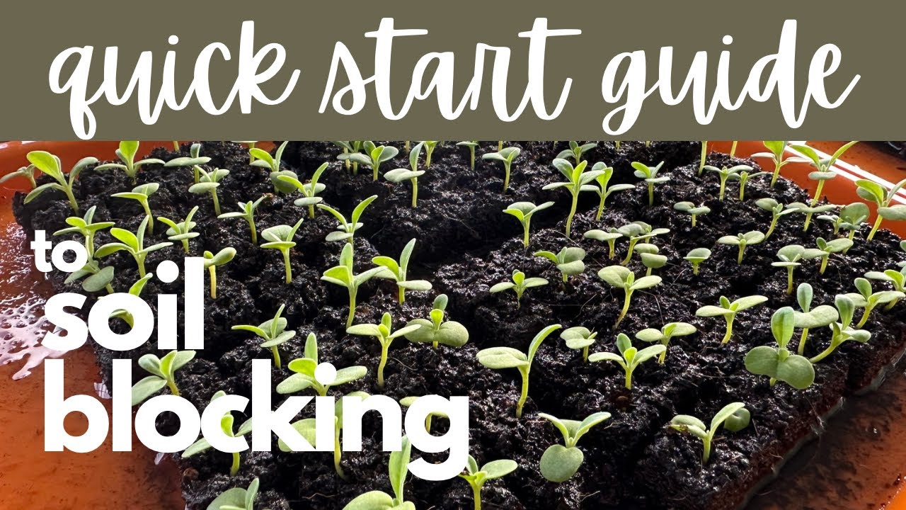 Soil Blocking STARTER GUIDE | How to Mix and Make Blocks - YouTube