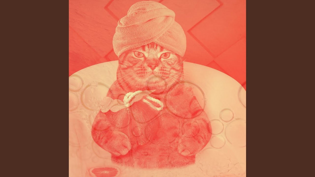 Mellow (Cutest Cats) - YouTube