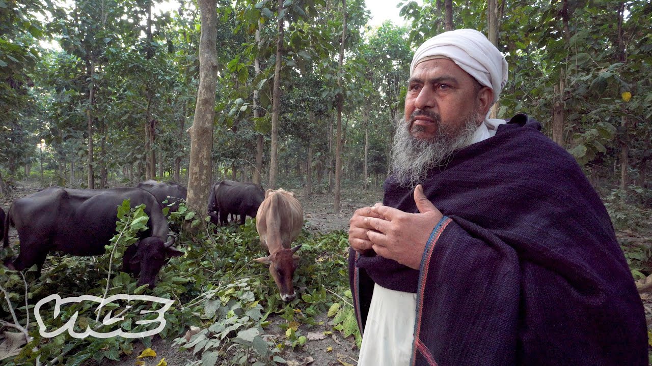 India's Forest Tribe Is Silently Being Evicted From Their Home - YouTube
