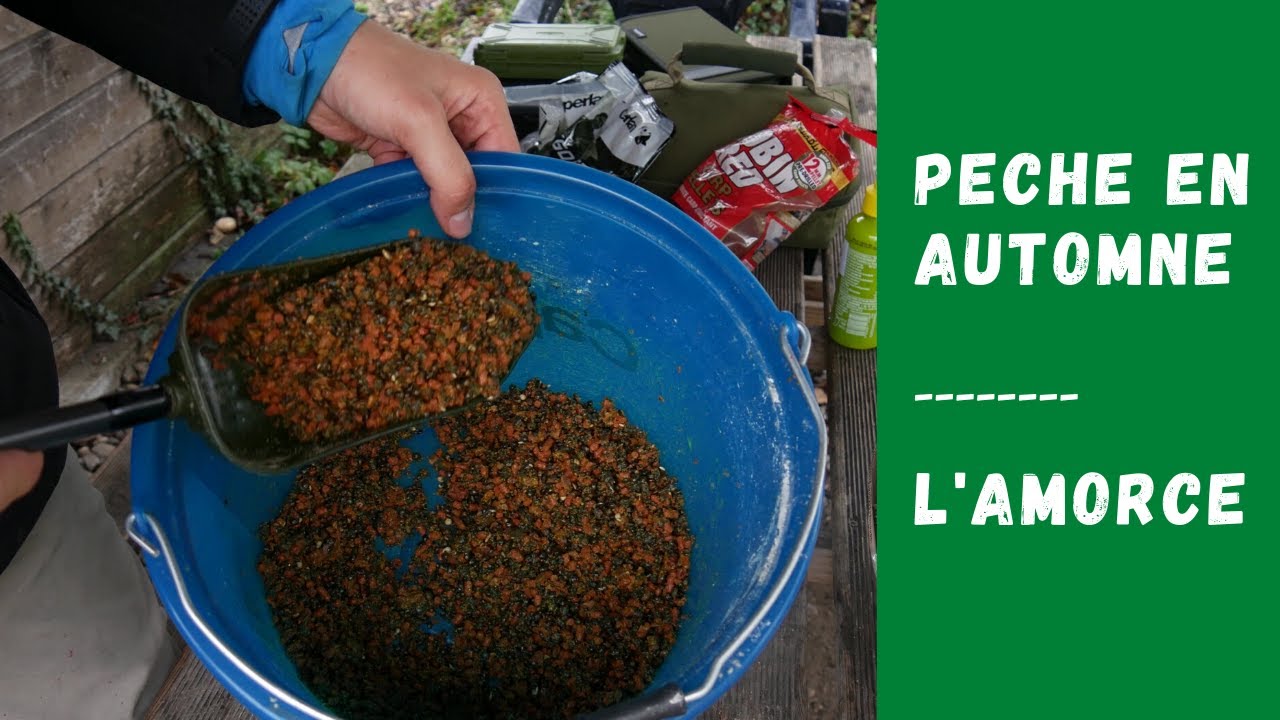 PECHE de la CARPE - Partie 1 L'AMORCE - YouTube