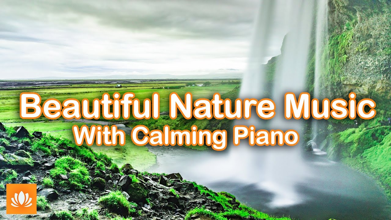 Rain drops, Positive energy, Calm Music, Spa Music, Relaxing Music ...