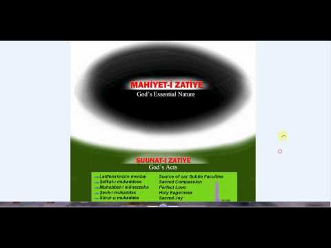 İnsanlığın Serüveni - (Bilgisayarlı)
