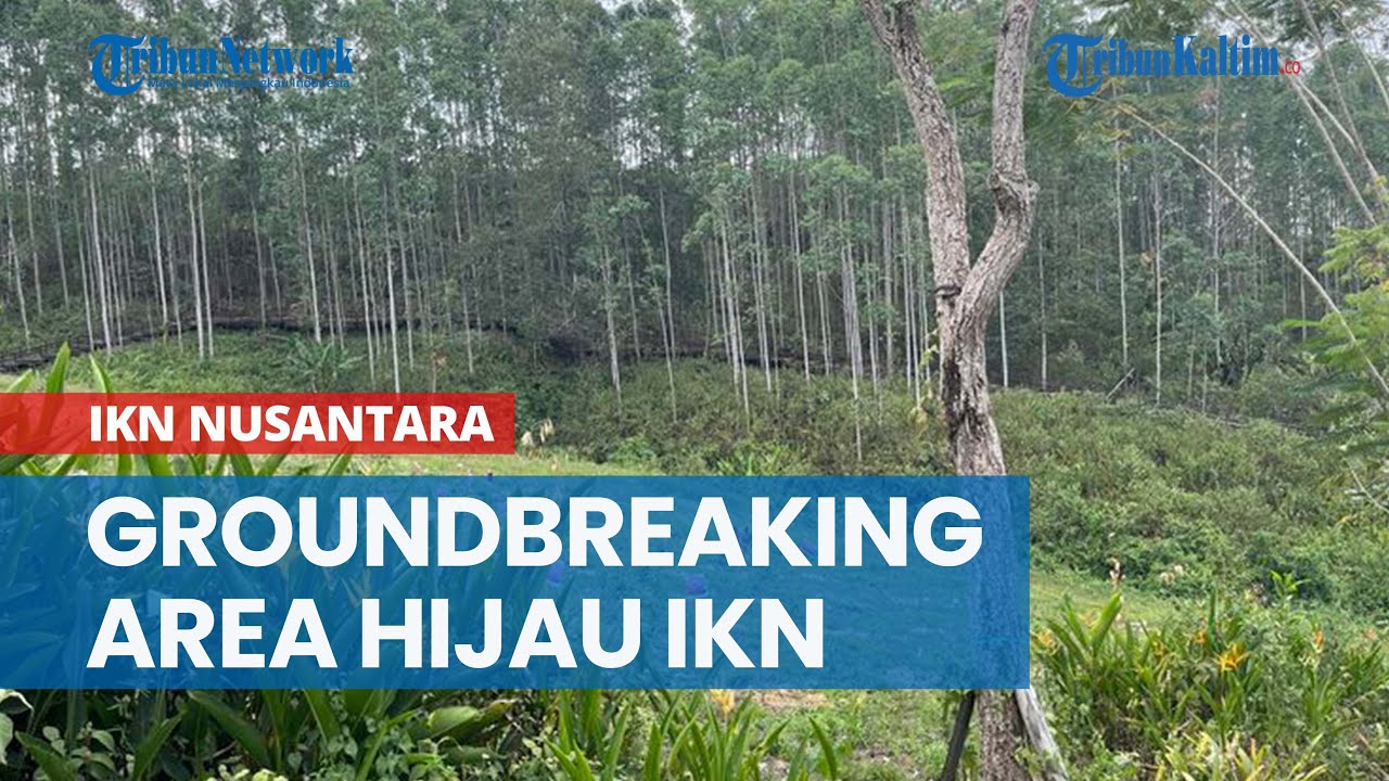 "Groundbreaking" Area Hijau IKN Dimulai Hari Ini - YouTube