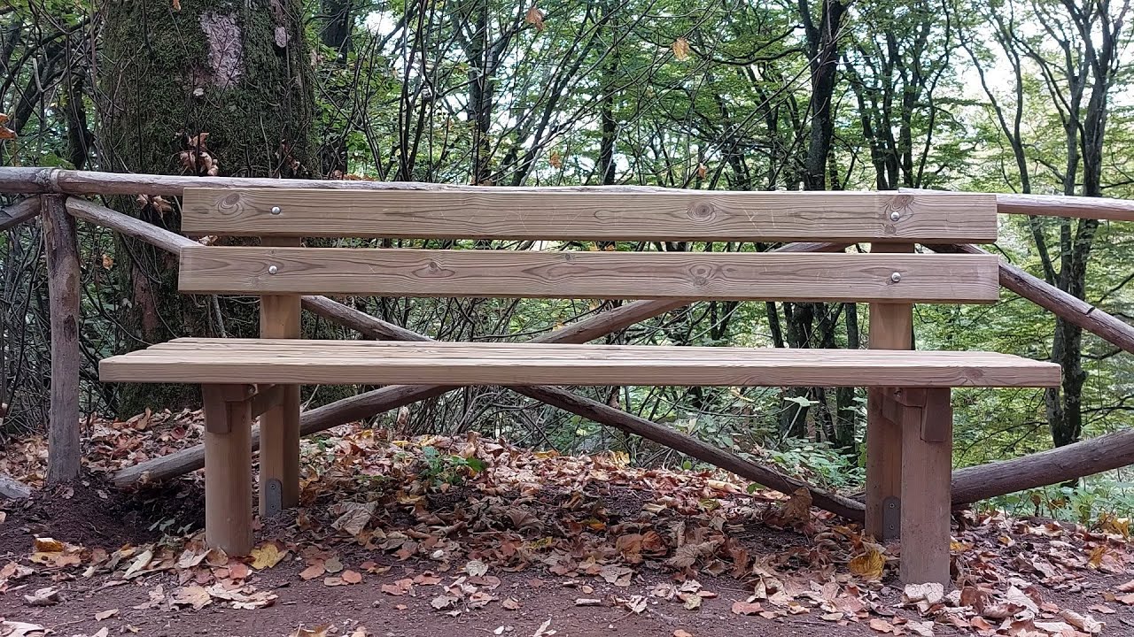 Cozy Bench in the Park with Relaxing Music - YouTube