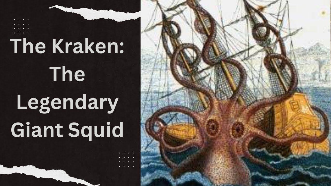 The Kraken: The Legendary Giant Squid - YouTube