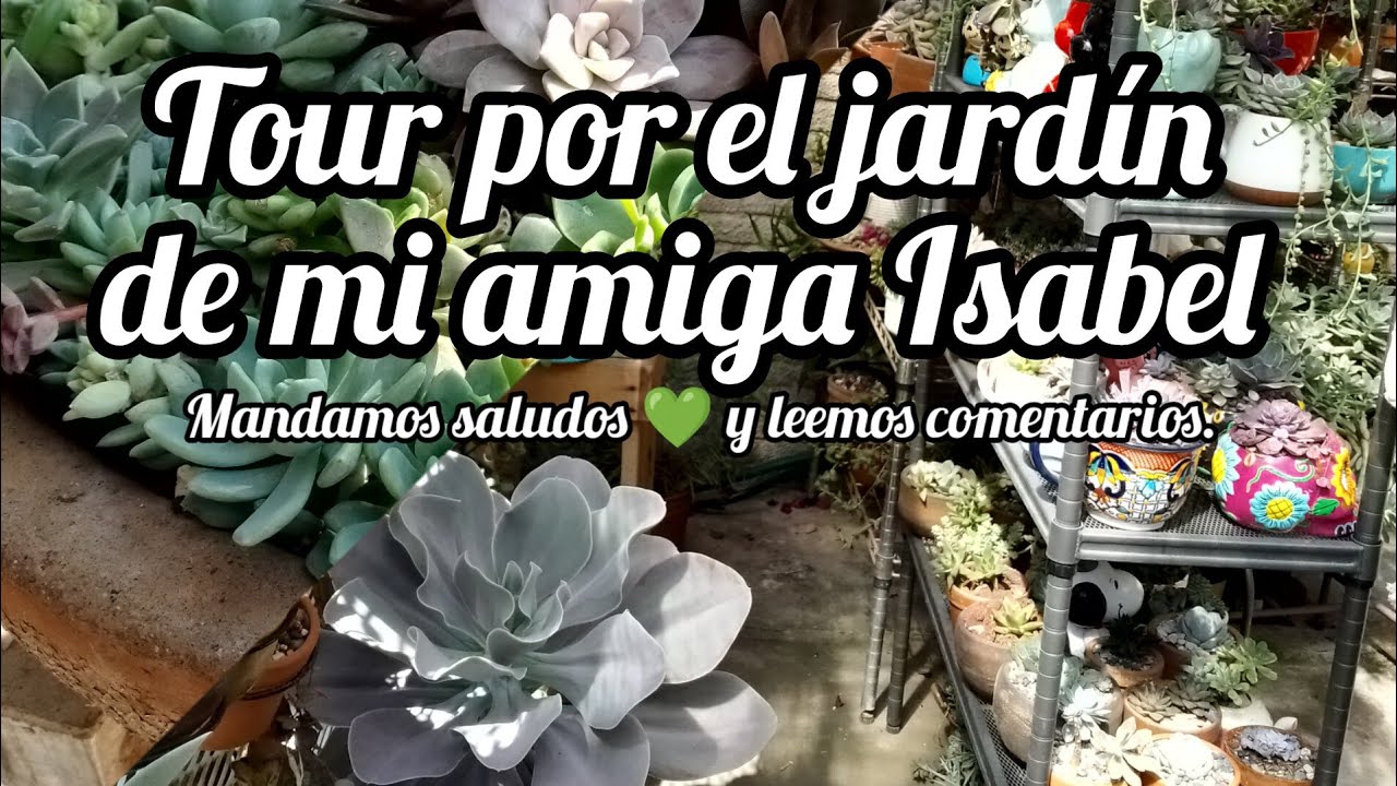 tour por el jardín de mi amiga Isabel mandamos saludos.. #garden # ...
