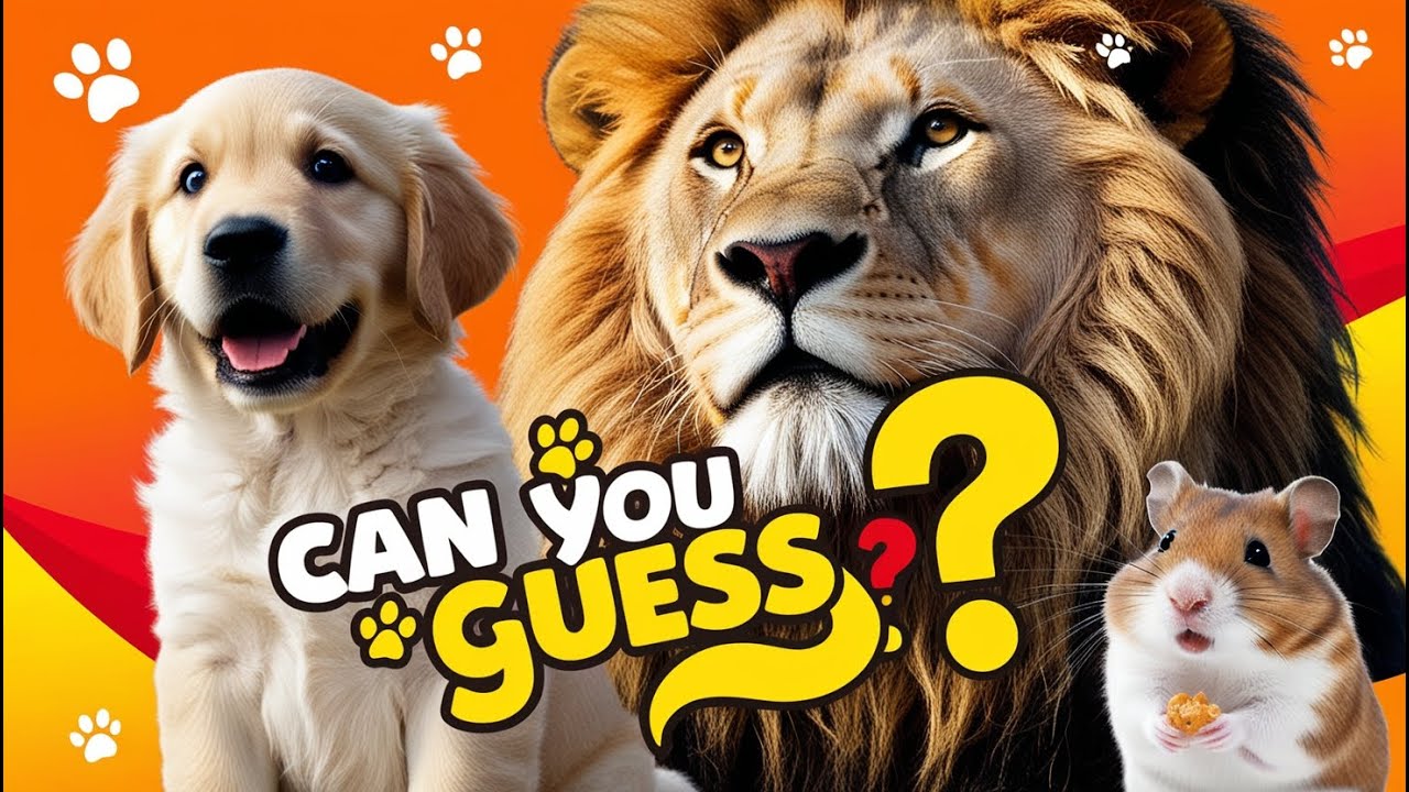 Can You Guess the Animal | Fun Game for Kids & Animal Lovers (Pets VS ...