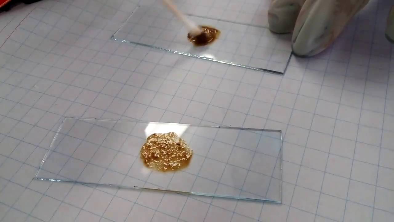 Práctica de Copro - YouTube