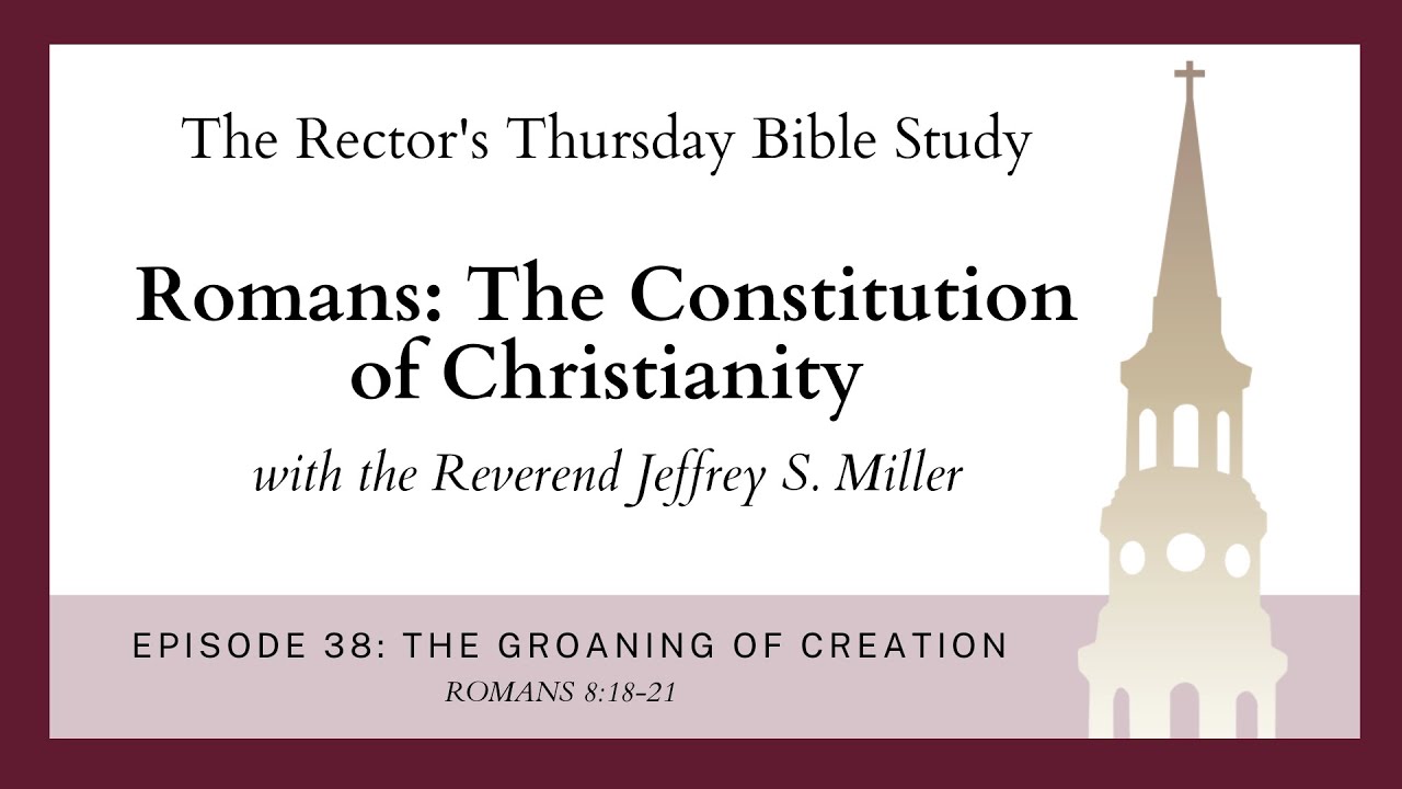 The Rector's Bible Study | Romans | Ep 38 | The Groaning of Creation ...