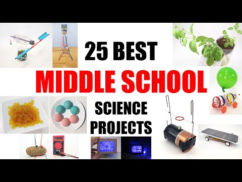 What Is A Good Science Fair Project On Horses