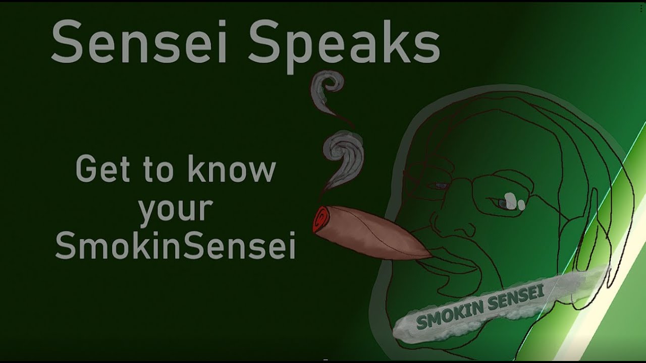 Sensei Speaks - Getting to Know Your Sensei - YouTube