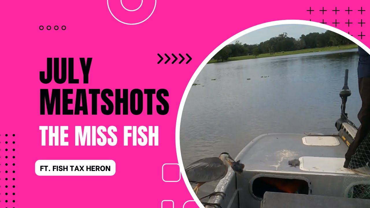July Meatshots // The Miss Fish - YouTube
