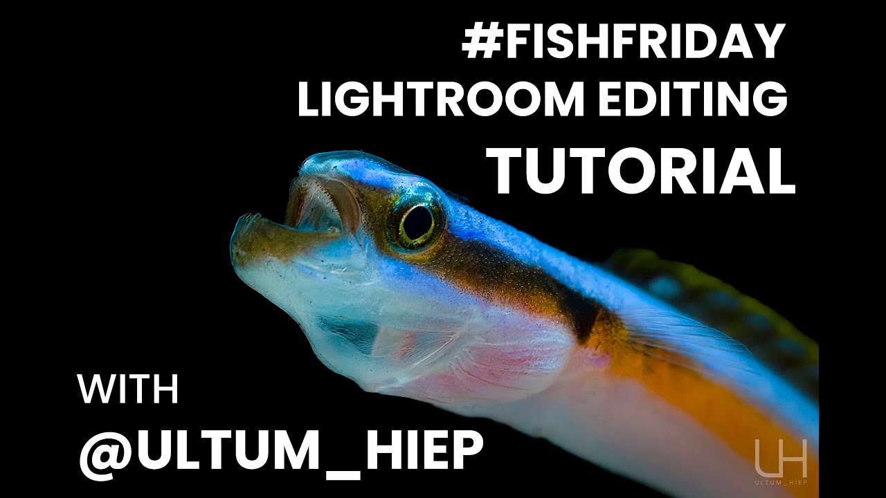 Editing Photos for #FISHFRIDAY! [Curious Worm Fish AKA Gunnellichthys ...