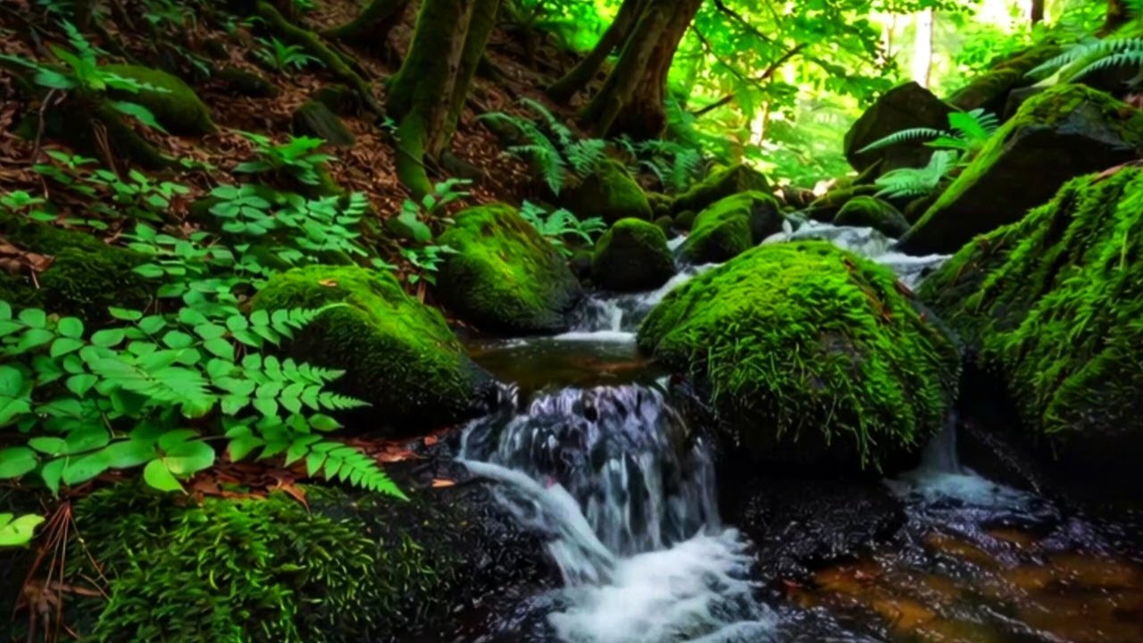 River Flow & Emotional Piano – Night Music for Deep Sleep and ...