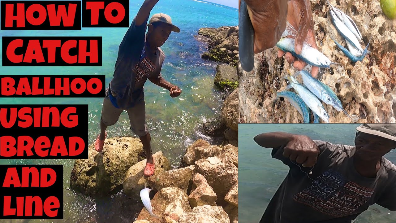 Catching ballyhoo using bread and line #fishing #fish #beach #beautiful ...