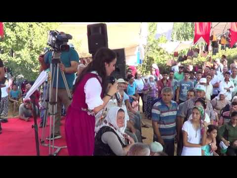 ÜMMÜ ERBİL / YEŞİL ÖRDEK GİBİ DALDIM GÖLLERE