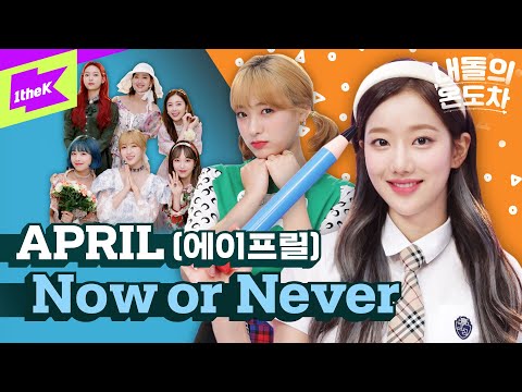 청량감 넘치는 에이프릴🍍Now or Never🍍상큼 발랄 올해 썸머퀸은 누구? 👉사월이💜 | APRIL _ Now or Never | 내돌의 온도차 | GAP CRUSH