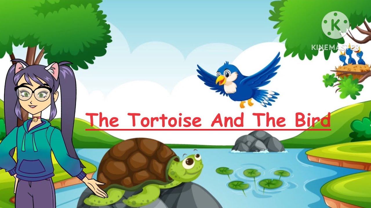 The Tortoise And The Bird | A Tale of Homes and Happiness | Story in ...