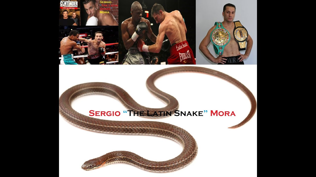 Sergio "The Latin Snake" Mora Story Host By EJ Boxing Live!! - YouTube