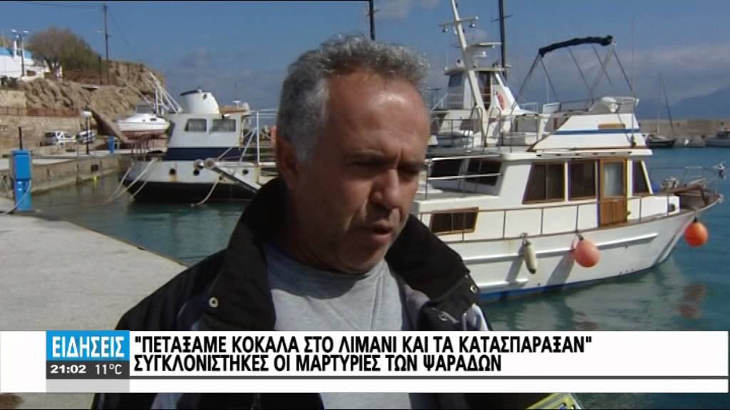 ΤΑ ΤΟΞΙΚΑ ΨΑΡΙΑ ΕΦΤΑΣΑΝ ΚΑΙ ΣΤΟ ΛΙΜΑΝΙ ΤΟΥ ΗΡΑΚΛΕΙΟΥ - YouTube